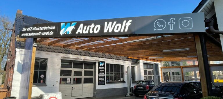 Wolf In Varel
